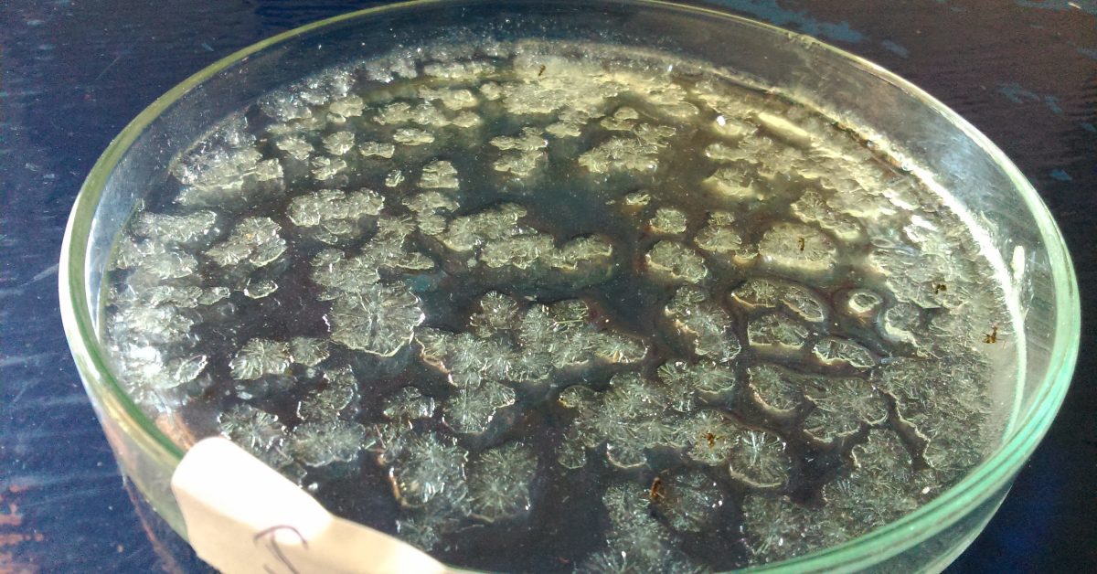 Creeping crystals – SmallScience